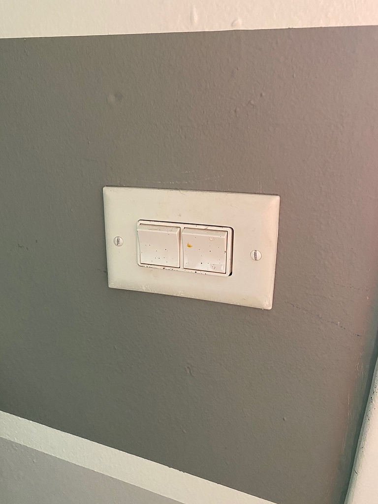 Double light Switch - Get Help - Hubitat
